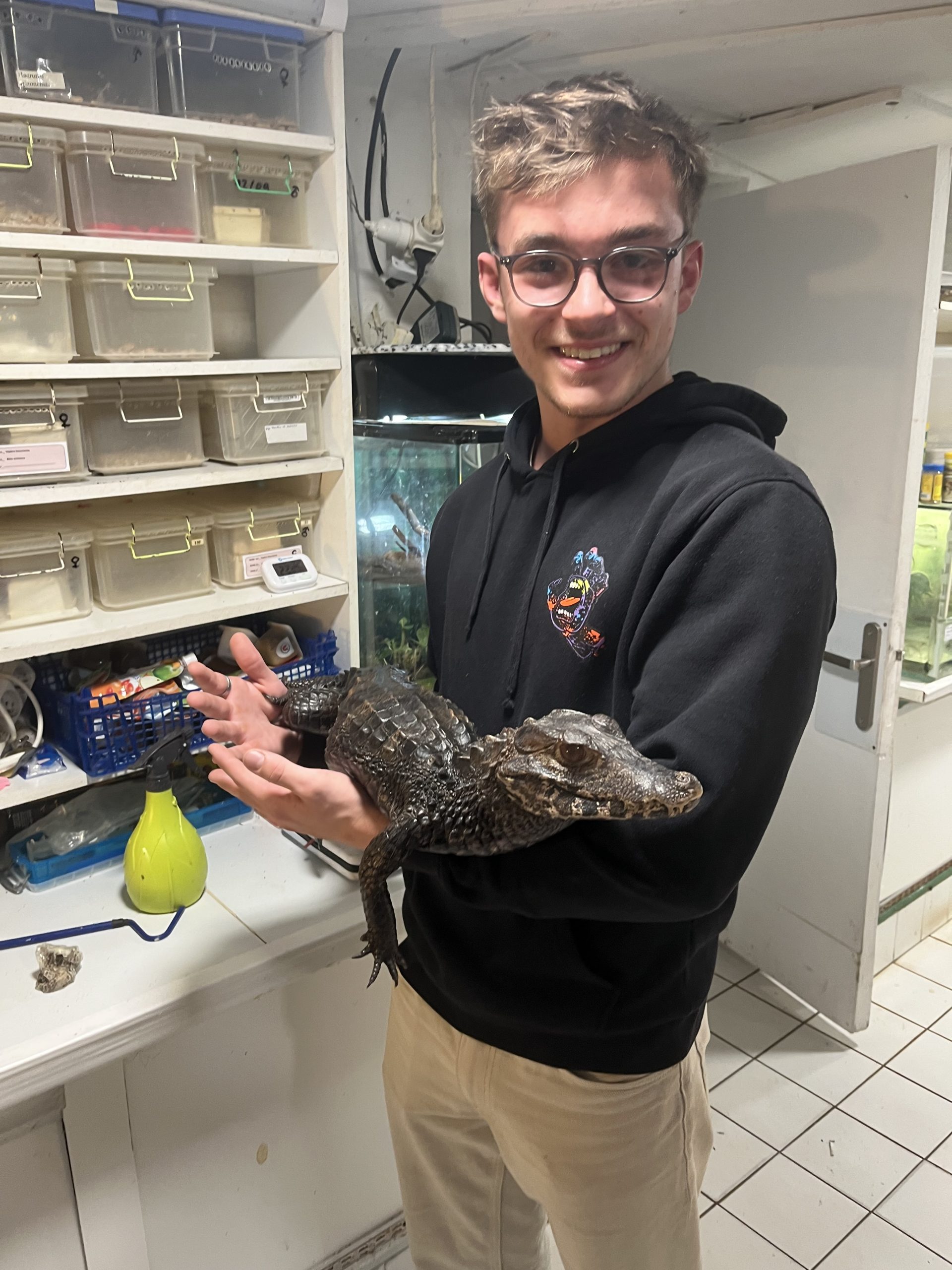 Page Création du site – Inf'Faune